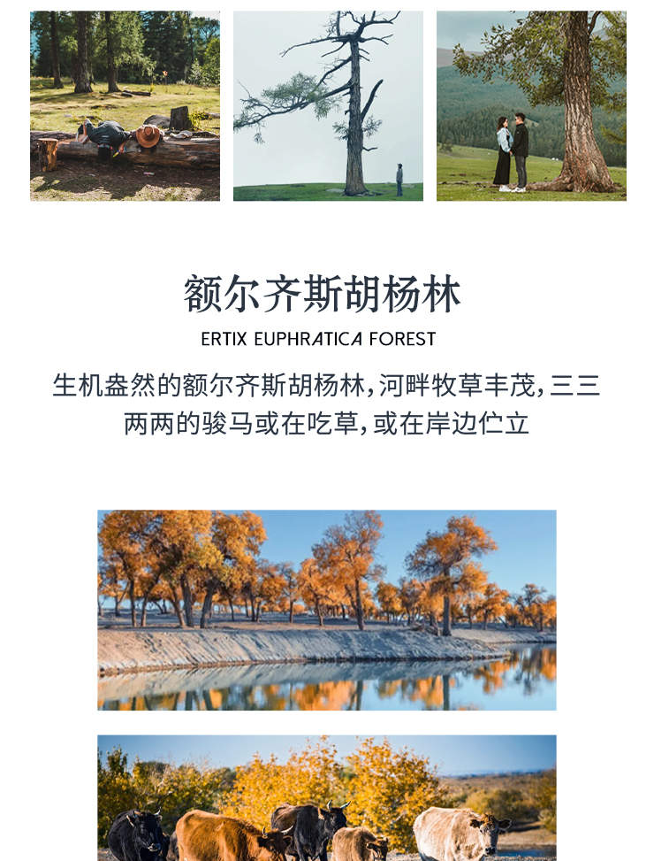 Huanye North - Klook